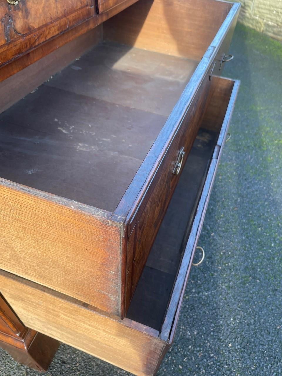 Antique 18Th Century Burr Walnut Chest Draws - The Hoarde Vintage